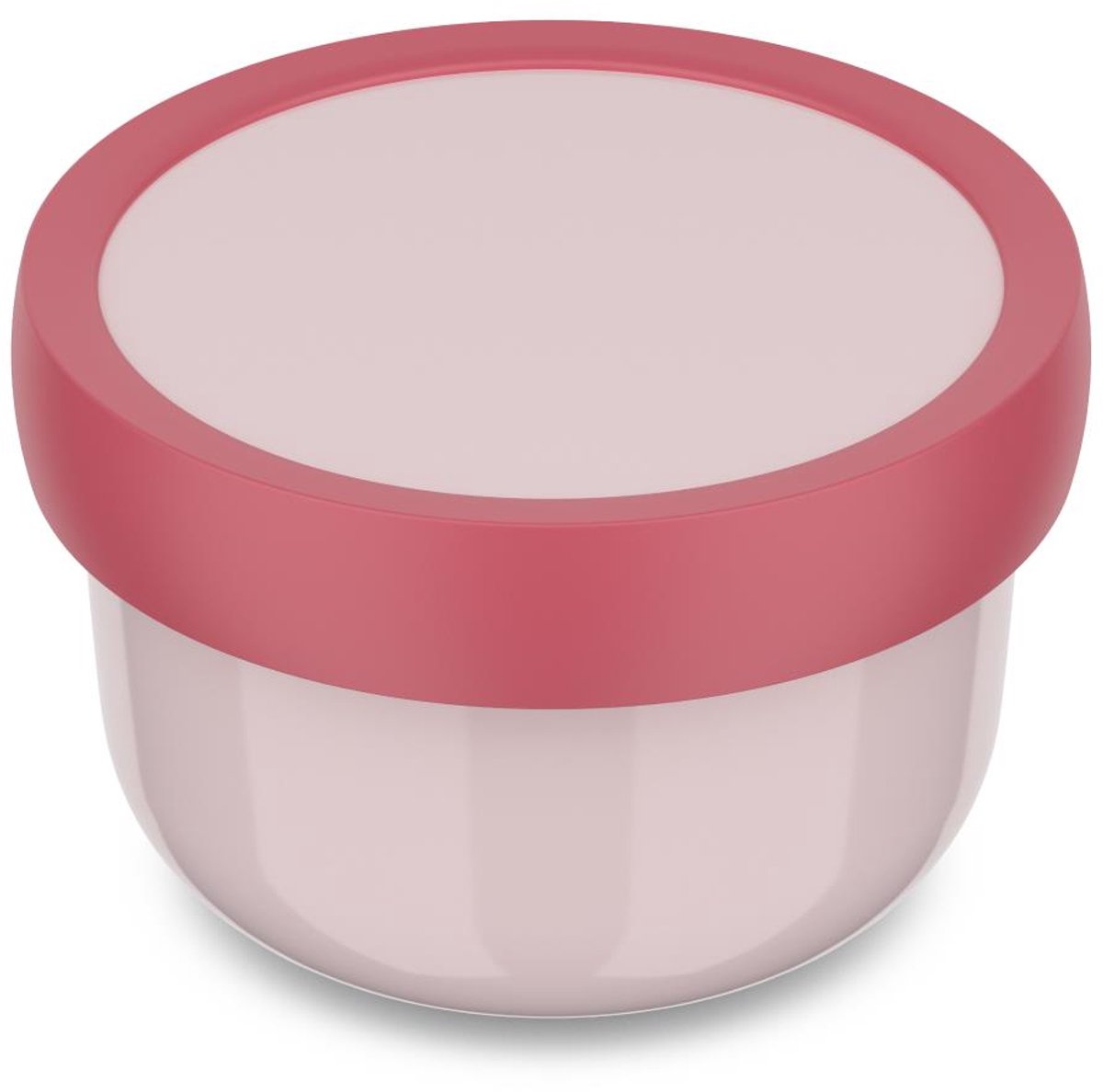 Mepal Fruitbox Campus 300 Ml | Kampeerhal Roden